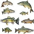 Amazon.com: Fish Wall Decals - Brown Trout, Walleye, Yellow Perch ...