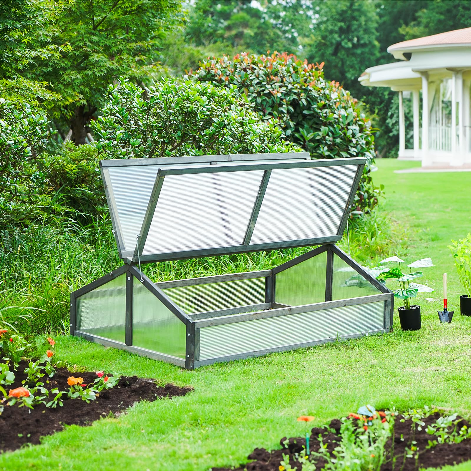 Cold Frames Kuwait | Buy Online | Whizz Others