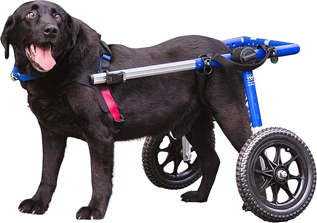 Walkin' Wheels Dog Wheelchair - for Large Dogs 70-180 Pounds ...