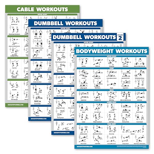 Palace Learning 4 Pack - Cable Machine Workouts + Dumbbell Workouts Vol ...