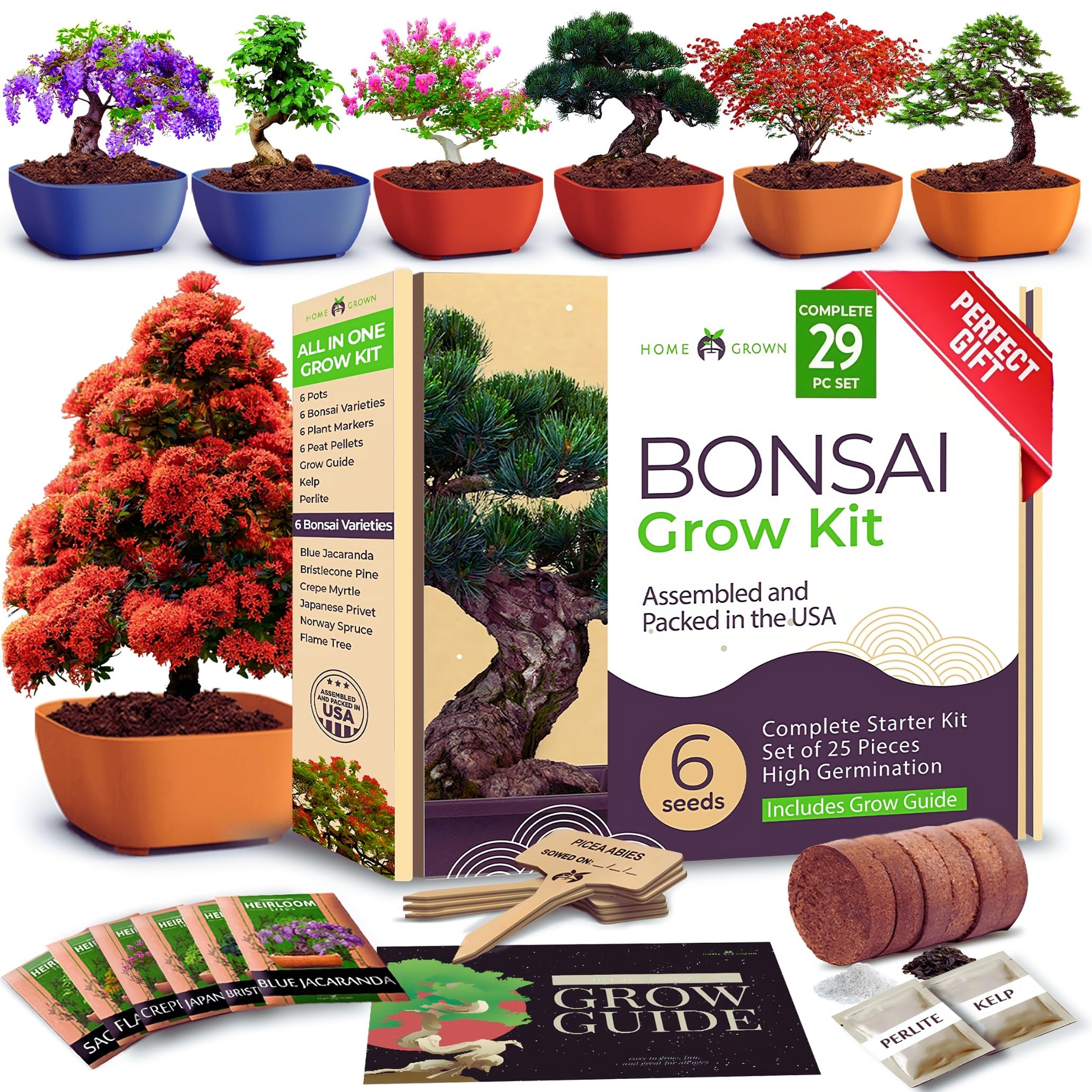 HOME GROWN Bonsai Tree Kit: Unique Christmas Gift for Men - Bonsai ...