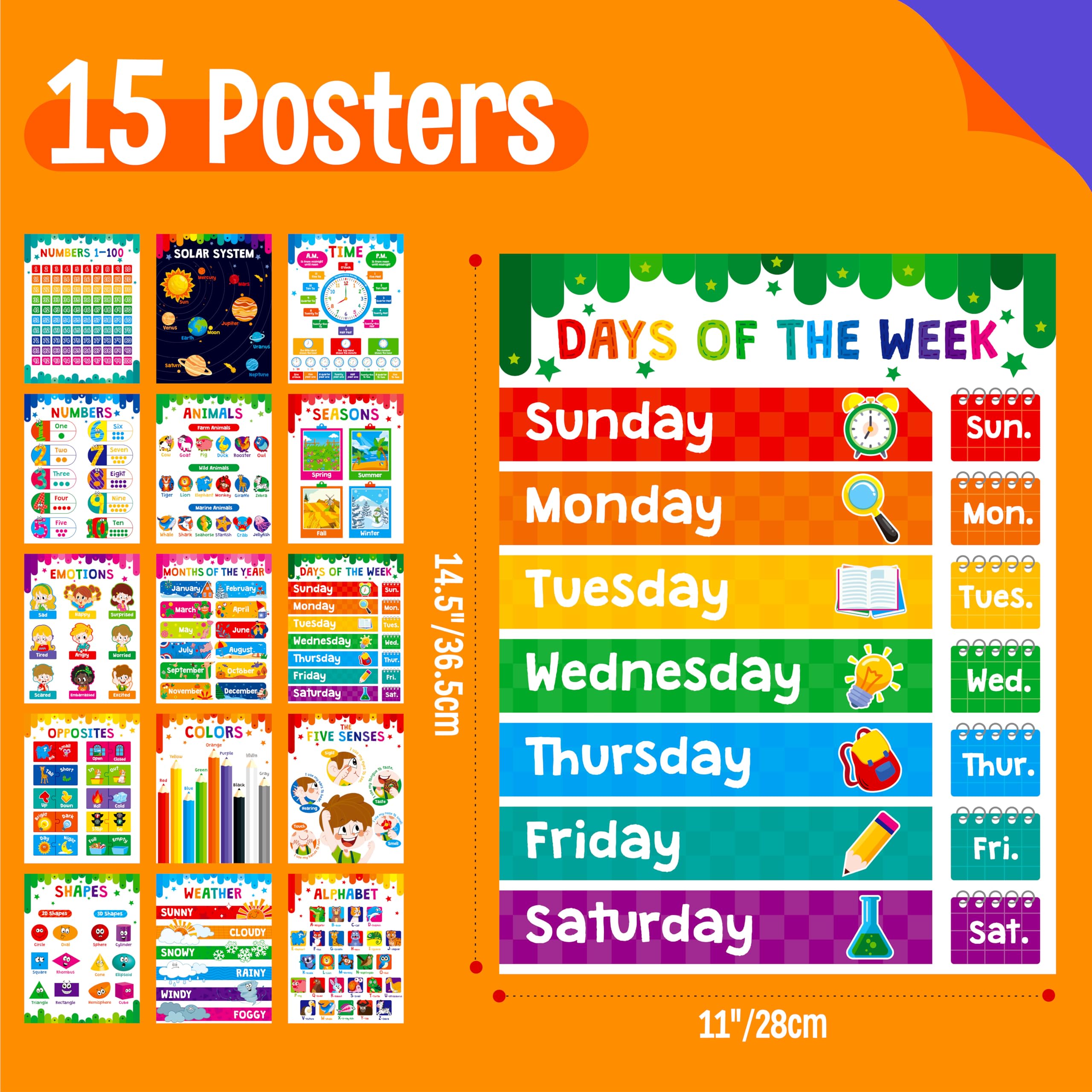 Mua 15 Packs Educational Poster, Thick Early Learning Posters ...