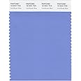 PANTONE Smart 16-4031X Color Swatch Card, Cornflower Blue - House Paint ...