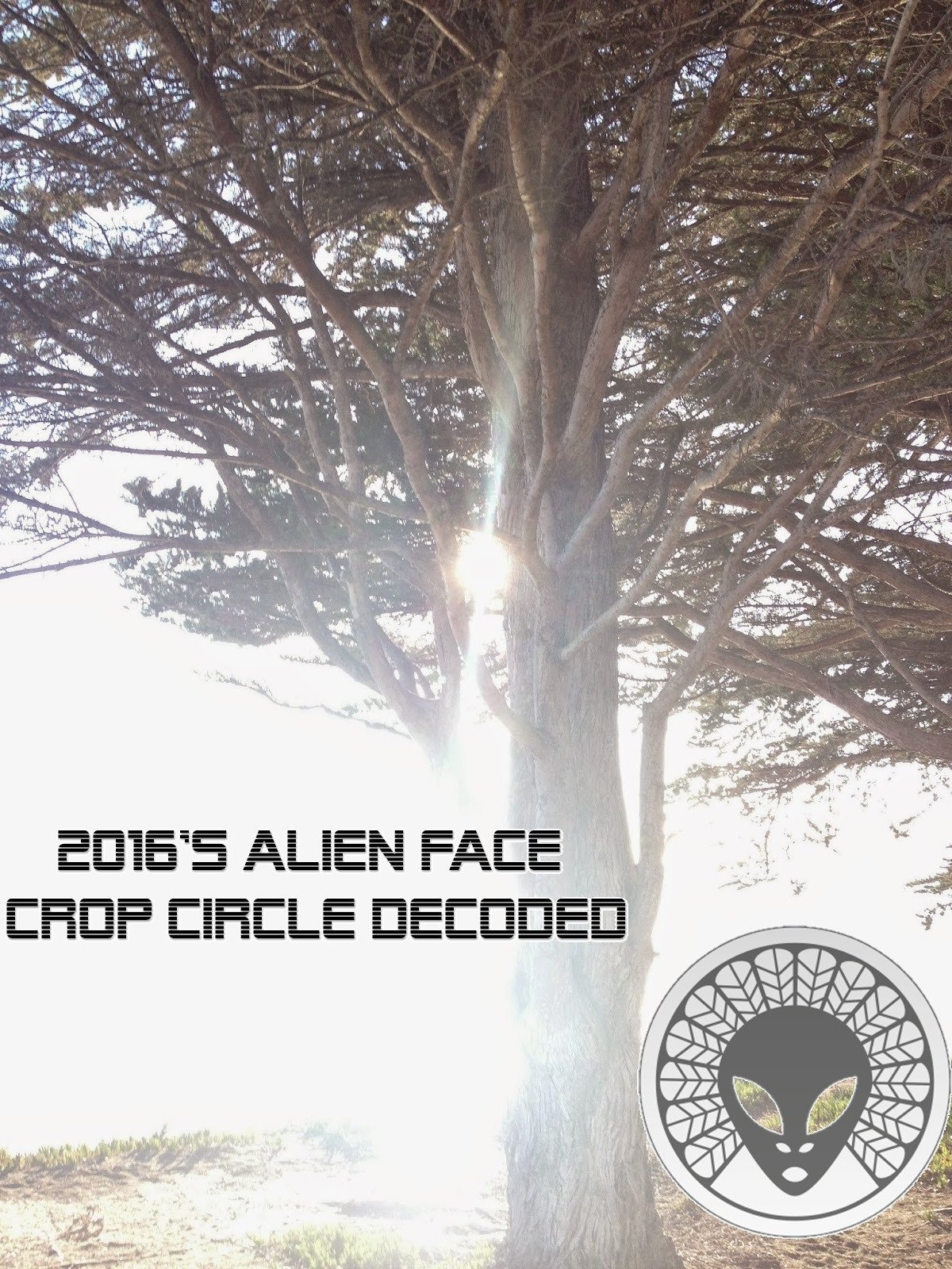 Amazon.de: 2016's Alien Face Crop Circle Decoded [OV] ansehen | Prime Video