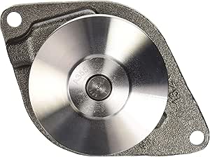 Amazon.com: Gates 43526 Water Pump : Automotive