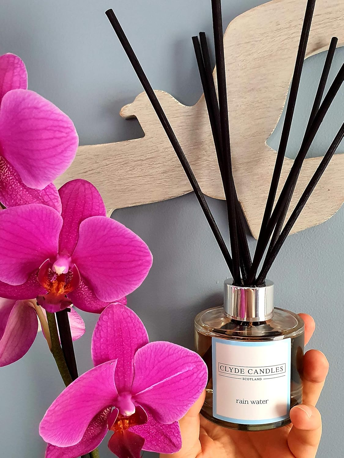 Rain Water Reed Diffuser – Clyde Candles – BigaMart