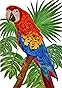 Amazon.com: Rainforest Birds: A Special Edition Coloring Book (Animal ...