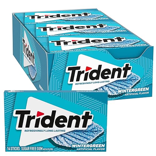 Trident Wintergreen Sugar-Free Chewing Gum, 12 Packs of 14 Pieces (168 ...