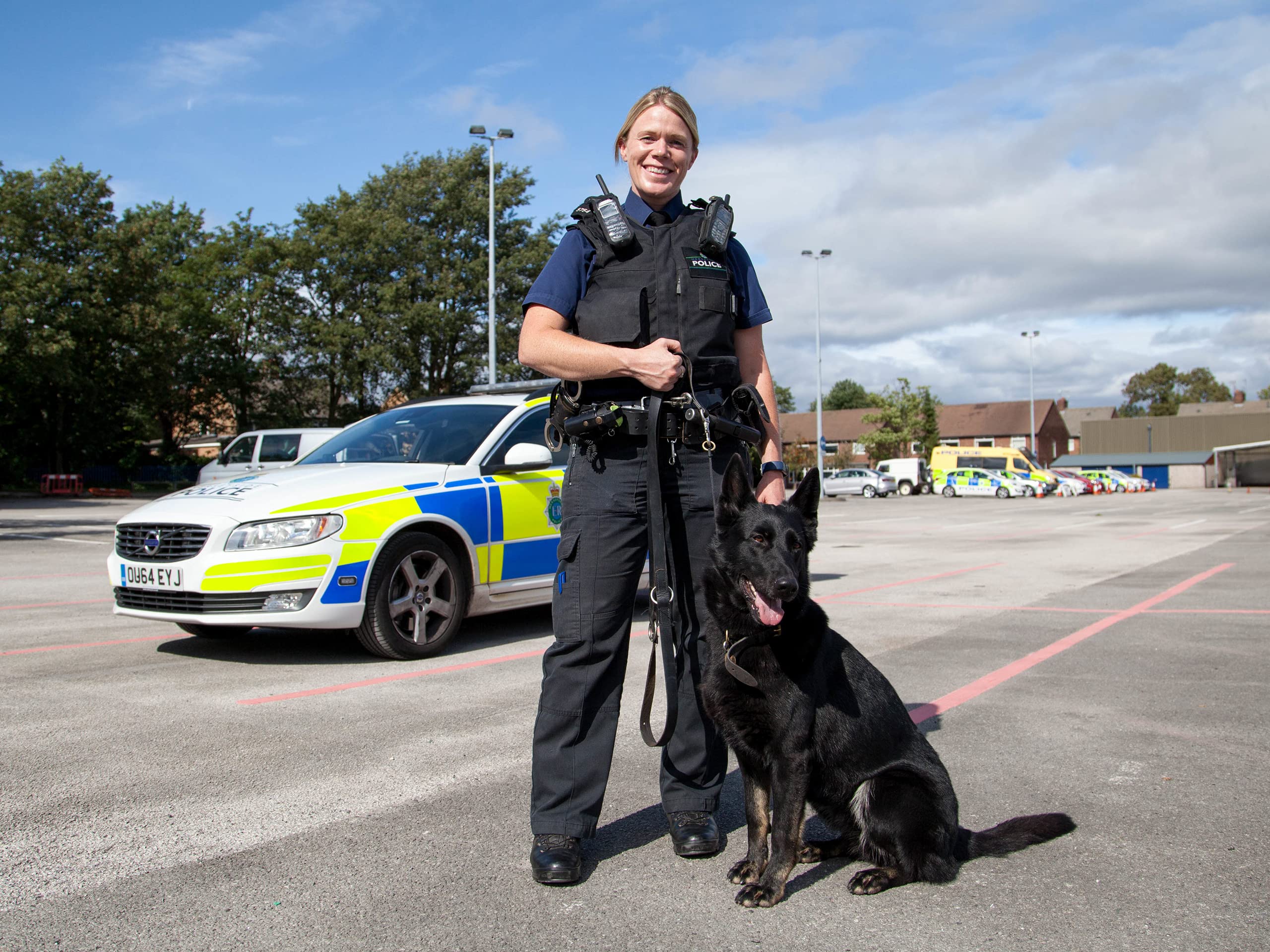 Watch Dog Detectives - Season 1 | Prime Video