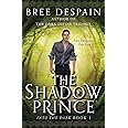 Amazon.com: The Shadow Prince (Into the Dark): 9781606845677: Despain ...