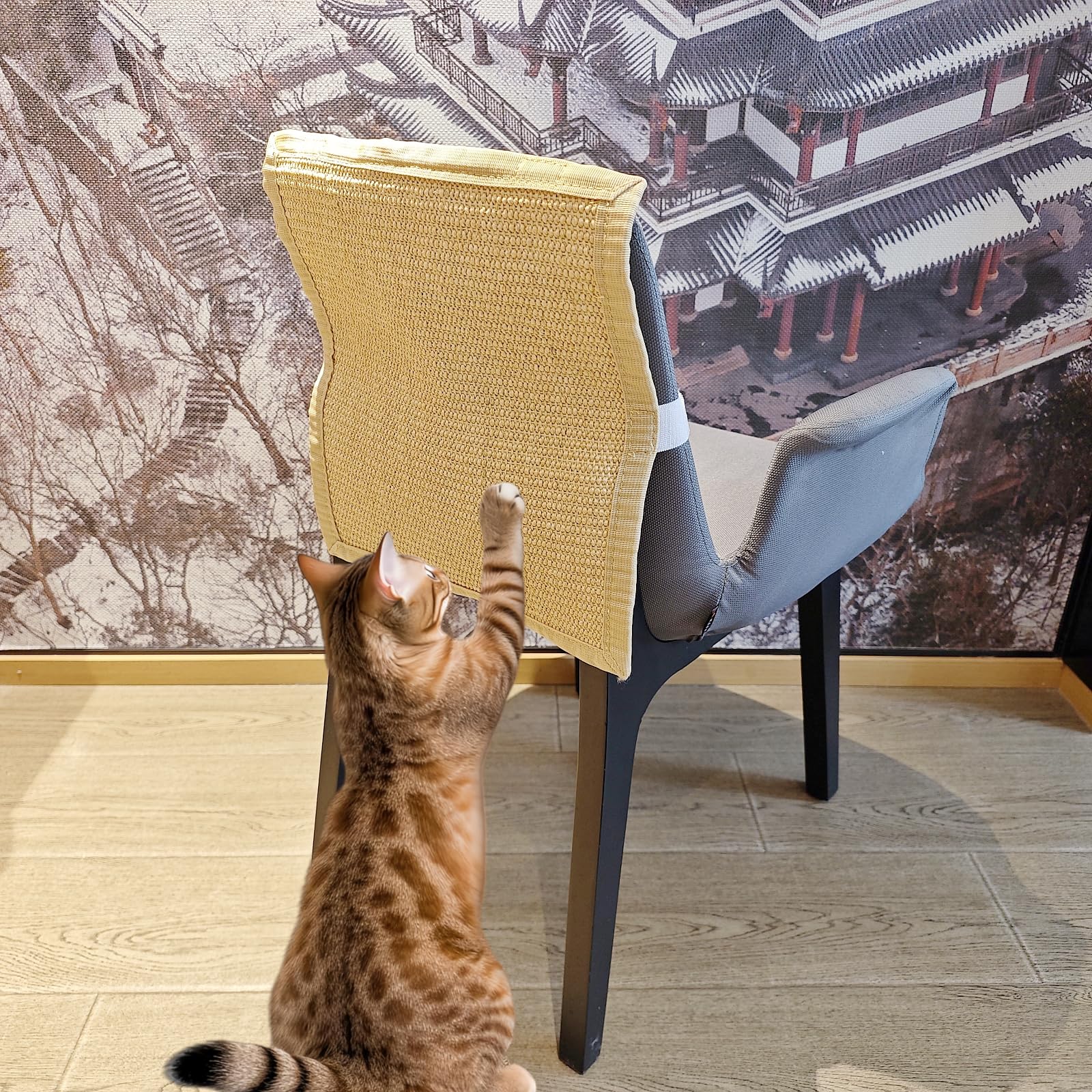 Search Las Vegas, NV | Nellis Auction