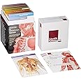 Anatomy & Physiology Flash Cards: 9781932922974: Medicine & Health ...
