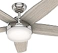 Hunter Fan 52 inch Contemporary Brushed Nickel Indoor Ceiling Fan with ...