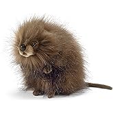 Amazon.com: SKUNK PLUSH TOY BY HANSA : Toys & Games