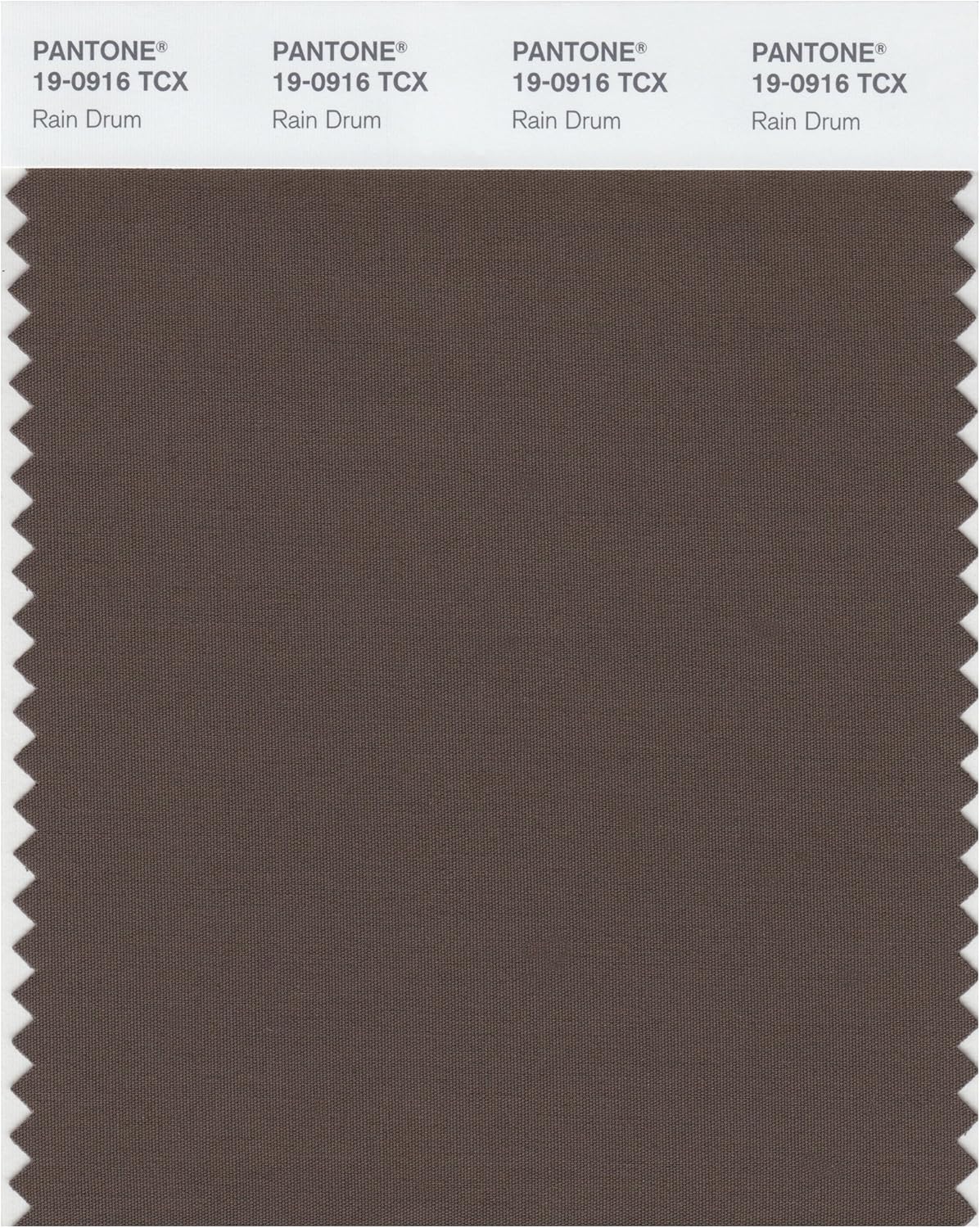 Amazon.com: Pantone 19-0916 TCX Smart Color Swatch Card, Rain Drum ...