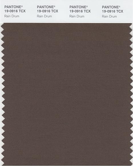 Amazon.com: Pantone 19-0916 TCX Smart Color Swatch Card, Rain Drum ...