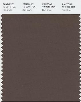 Amazon.com: Pantone 19-0916 TCX Smart Color Swatch Card, Rain Drum ...