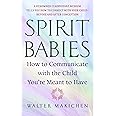 Spirit Babies: How to Communicate with... by Makichen, Walter