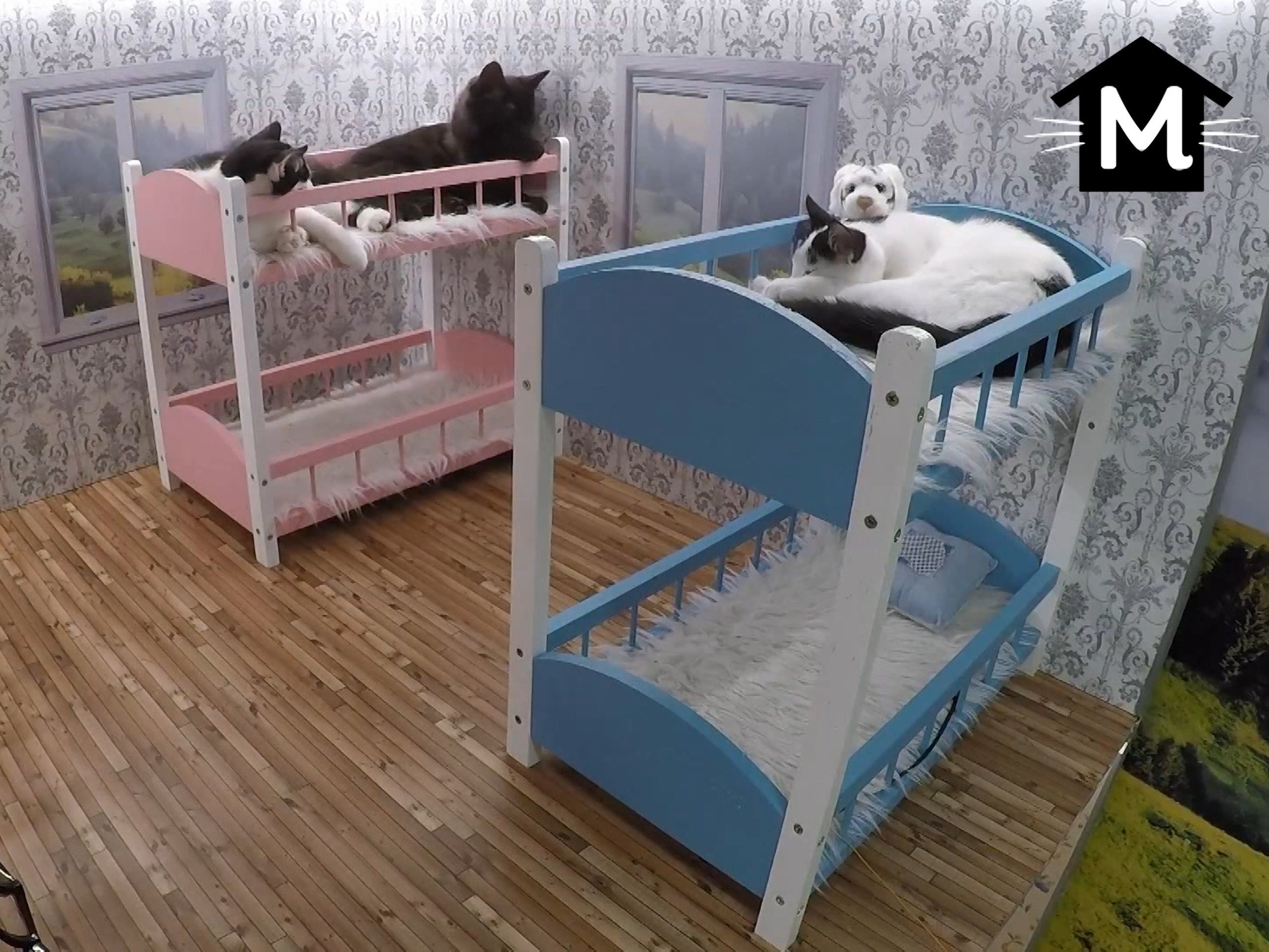 Watch Meow Manor - Season 1 | Prime Video