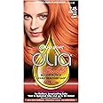 Amazon.com : Garnier Olia Bold Ammonia Free Permanent Hair Color ...