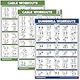 Amazon.com: 3 Pack - Cable Machine Workout Posters Volume 1 & 2 ...