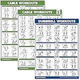 Amazon.com: 3 Pack - Cable Machine Workout Posters Volume 1 & Volume 2 ...