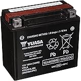Amazon.com: Yuasa YTX20HL-BS High Performance, Maintenance Free Battery : Automotive