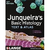 Junqueira's Basic Histology: Text and Atlas, Fifteenth Edition ...