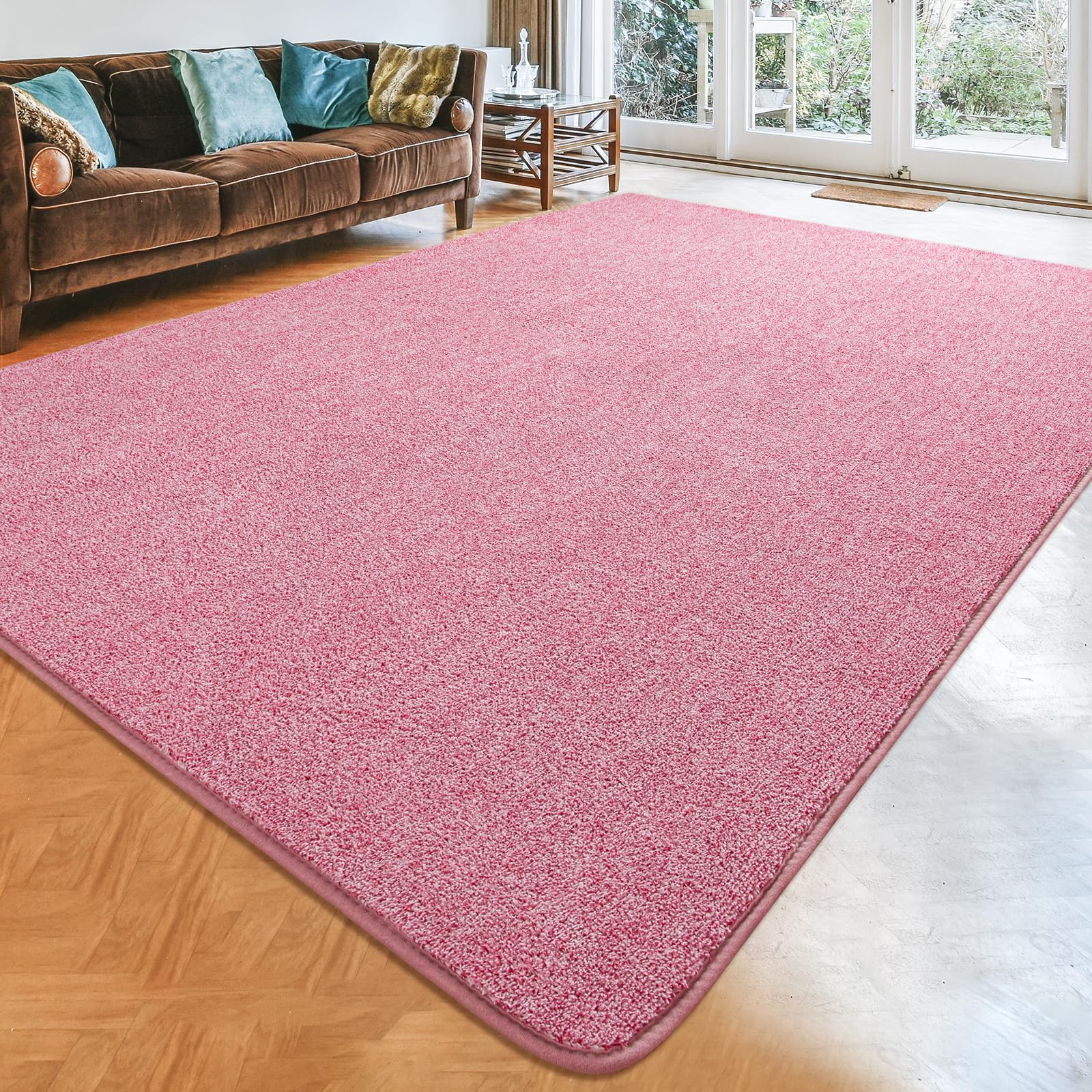 Rtizon Area Rug for Living Room, 5x7 Feet Pink Shag Rugs with Memory ...