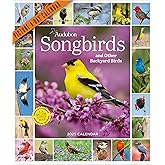 Amazon.com: Audubon Songbirds and Other Backyard Birds Picture-A-Day ...