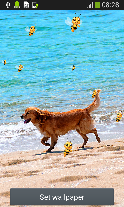 Dog Live Wallpapers:Amazon.de:Appstore for Android