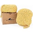 Amazon.com: myHomeBody Premium Bath Sponge, Foam Loofah Sponge, Body ...