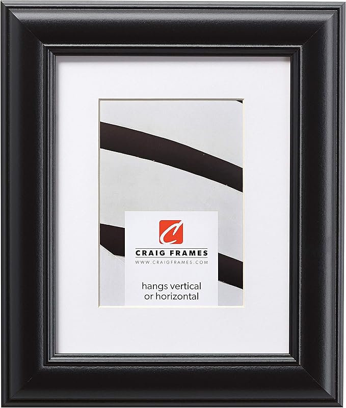 Amazon Craig Frames Dakota 20 X 24 Inch Satin Black Picture Frame amazon-craig-frames-dakota-20-x-24-inch-satin-black-picture-frame