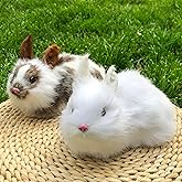 Amazon.com: Basuo-9Q Pack of 2 Realistic Furry White Panda Rabbits ...