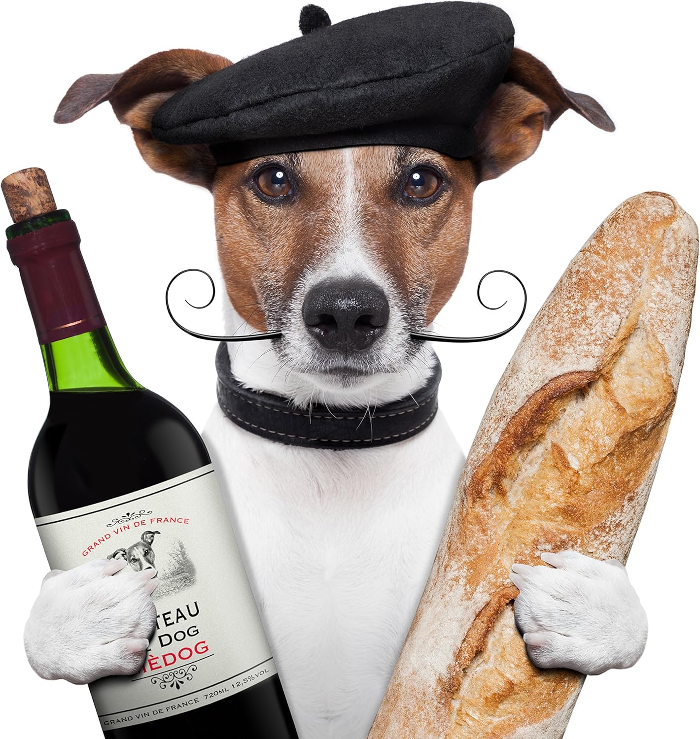 "CHICO - DER FRANZOSE": lustiges Einladungskarten-Set zum Essen oder ...