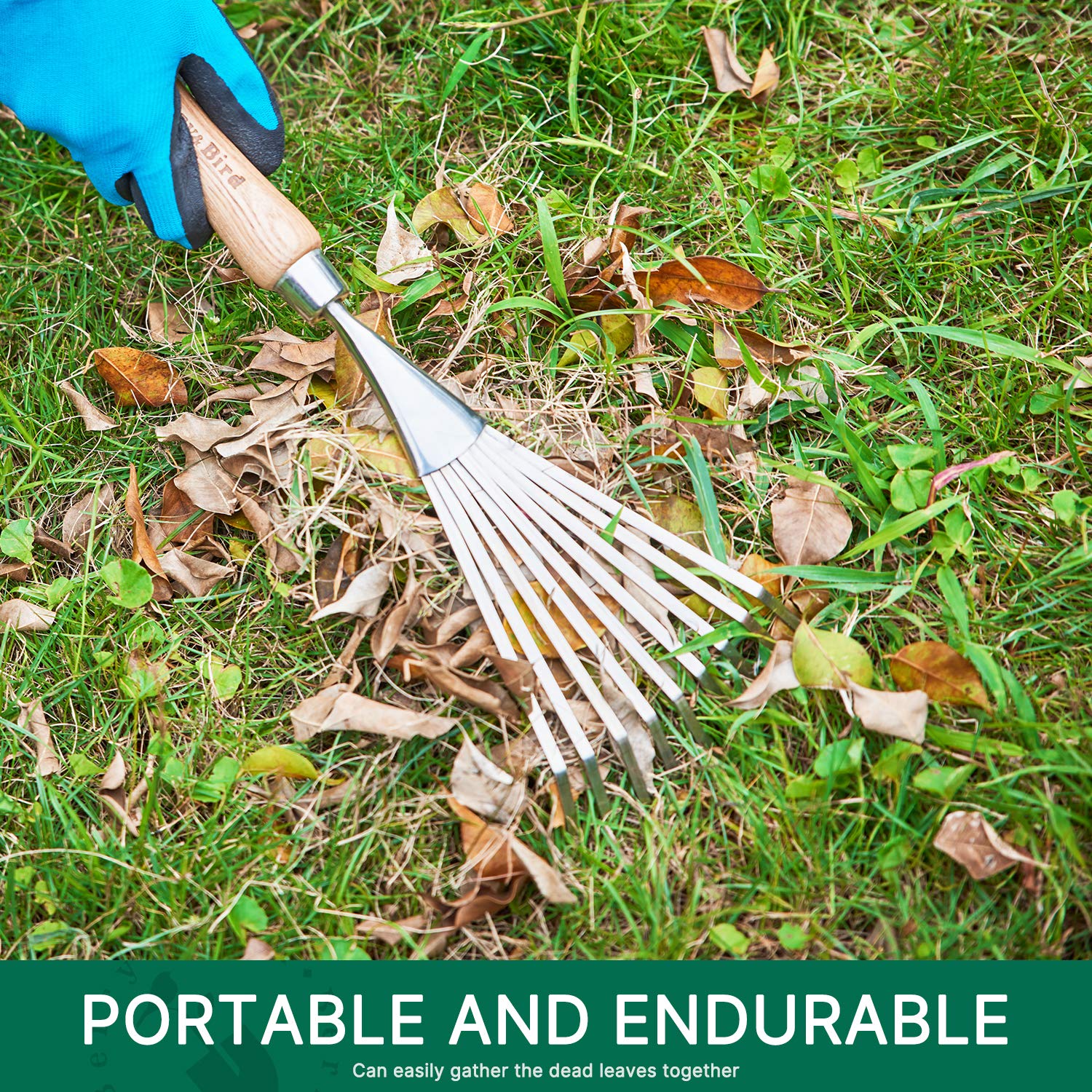 Mua Berry&Bird Leaf Rake with Short Handle, 37.3 cm Stainless Steel ...