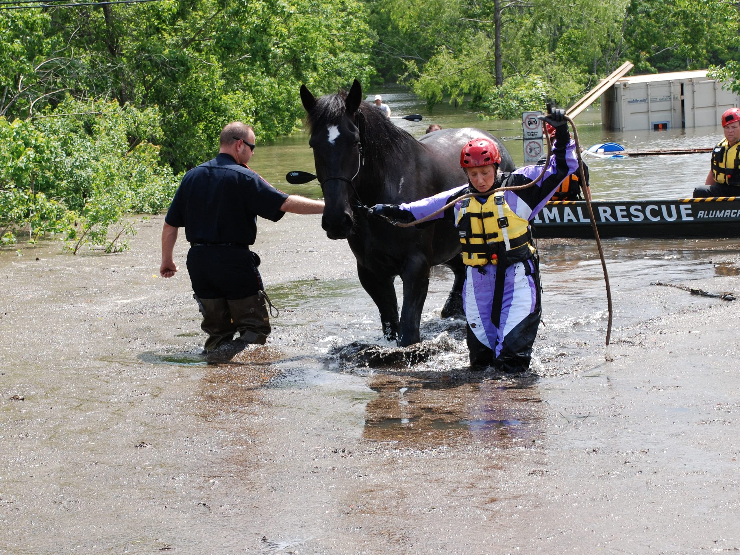 Watch Animal Cops: Houston - Season 7 | Prime Video