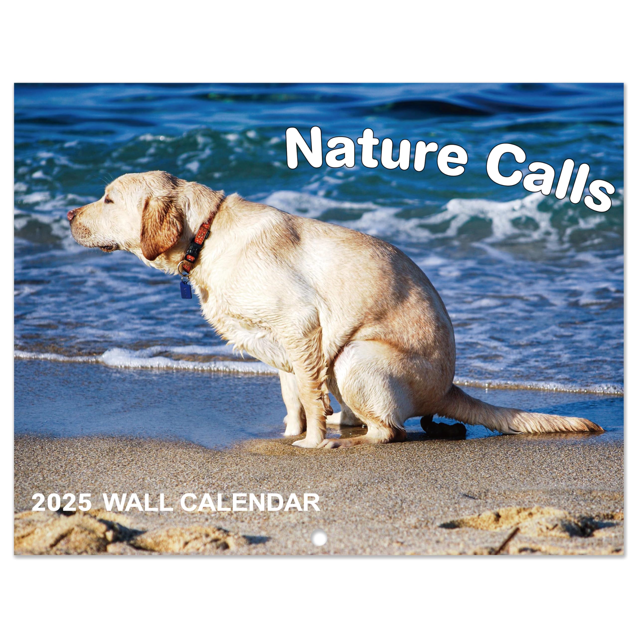 Calendar 2025 - Dogs Pooping Calendar 2025, funny Dog Calendar gag ...