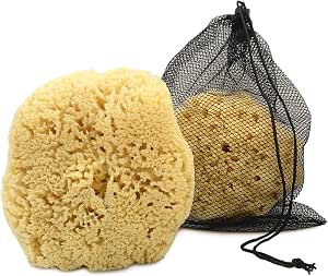 Amazon.com: Real Sea Sponge for Men - Extra Large 6"-7", Totally ...