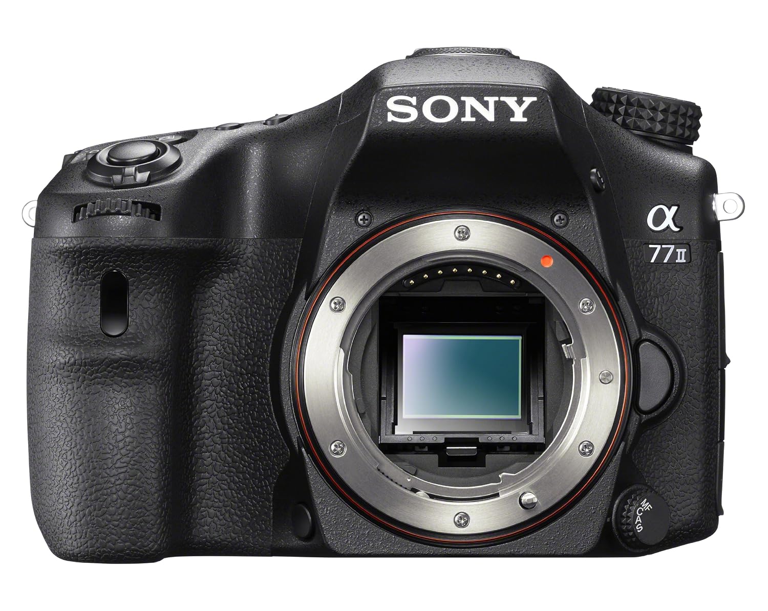 Top 5 Best Camera For Wildlife Photography In 2021 ForTravelista
