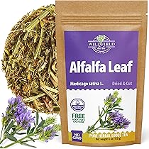 Logotipo De Medicago New Life | Criação De Logo Para Clinica Medica