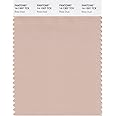 PANTONE Smart 14-1307X Color Swatch Card, Rose Dust - Wall Decor ...