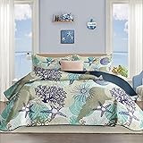 Amazon.com: Tritard 3 Piece Coastal Quilt Sets Full/Queen Size - Reversible Microfiber Quilts ...
