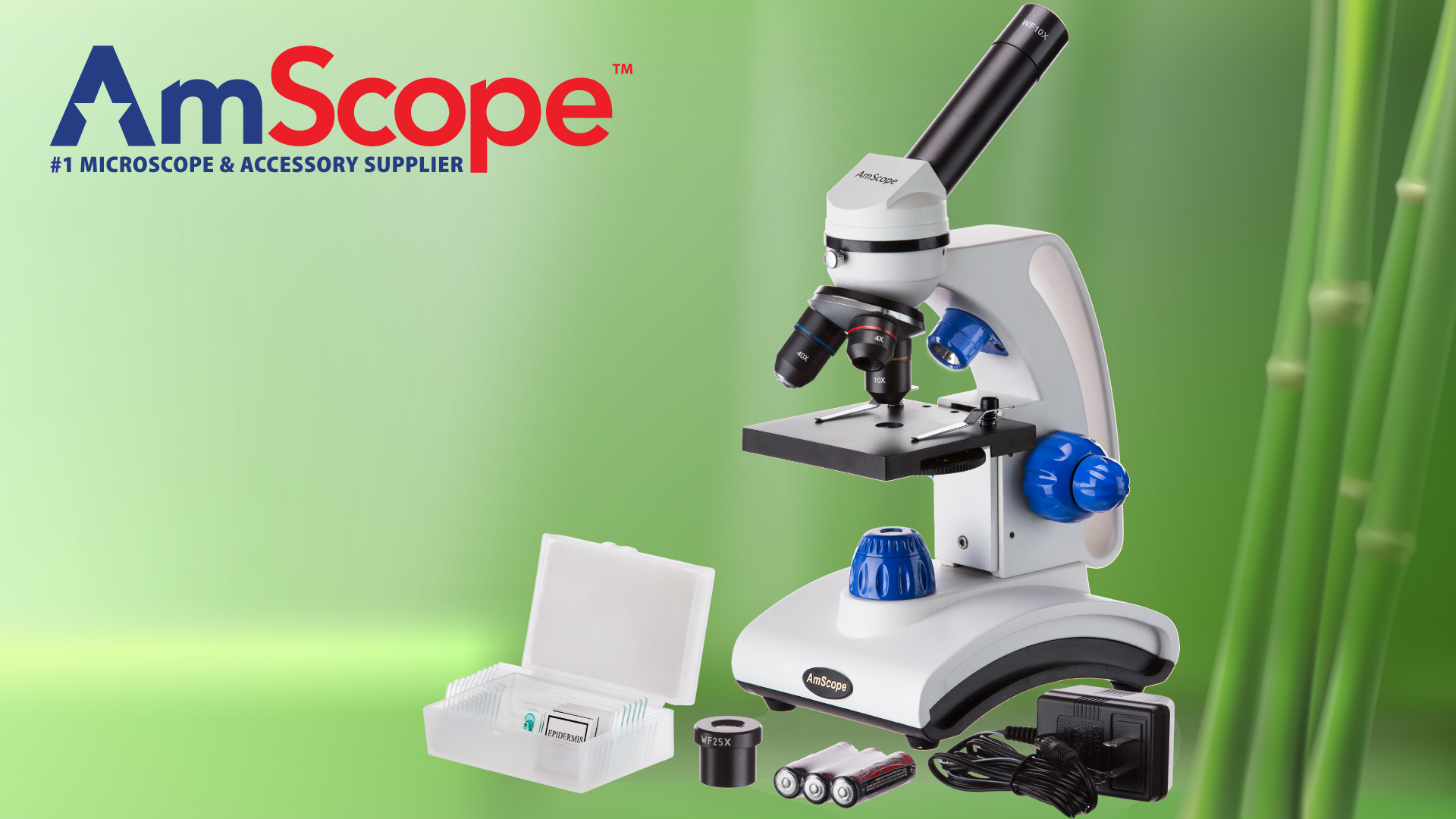 Watch AmScope - M162C-2L-WM-SP14-50P100S Student Microscope - 40X-1000X ...