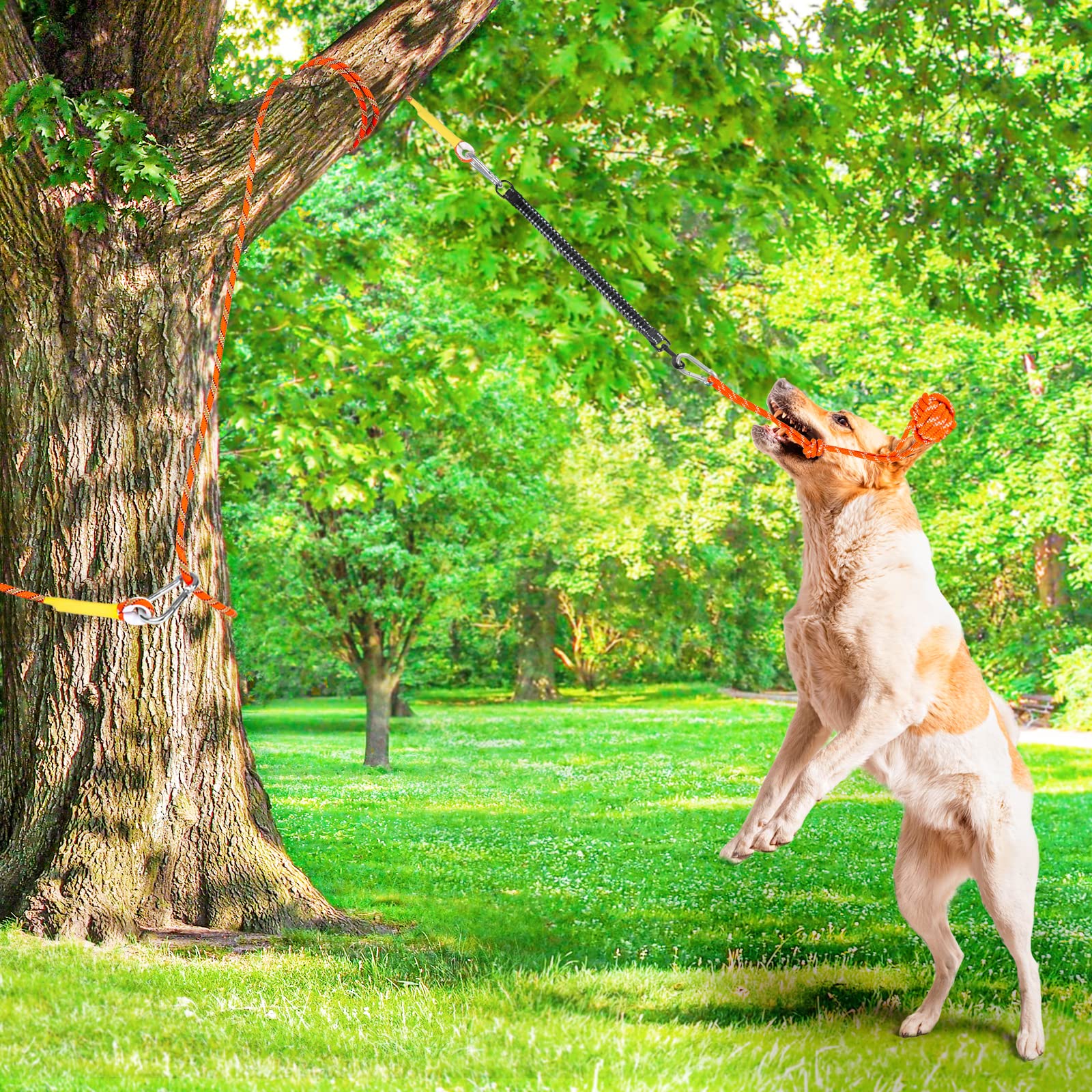 Mua XiaZ Spring Pole Dog Rope Toys- Tug of War Toy with Bungee and 16ft ...