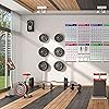 12-Pack Laminated Large Workout Poster Set - Perfect Workout Posters ...