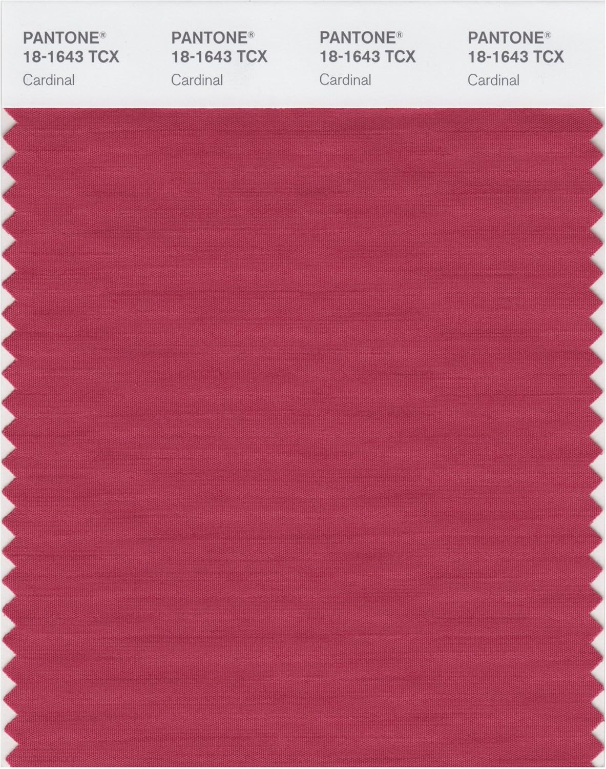 PANTONE Smart 18-1643X Color Swatch Card, Cardinal - Wall Decor ...