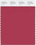 PANTONE Smart 18-1658X Color Swatch Card, Pompeian Red - House Paint ...
