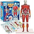Amazon.com: Be Amazing! Toys Interactive Human Body - 60 Piece Fully ...