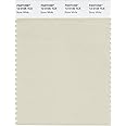 Amazon.com: PANTONE Smart 12-0105X Color Swatch Card, Bone White : Arts ...